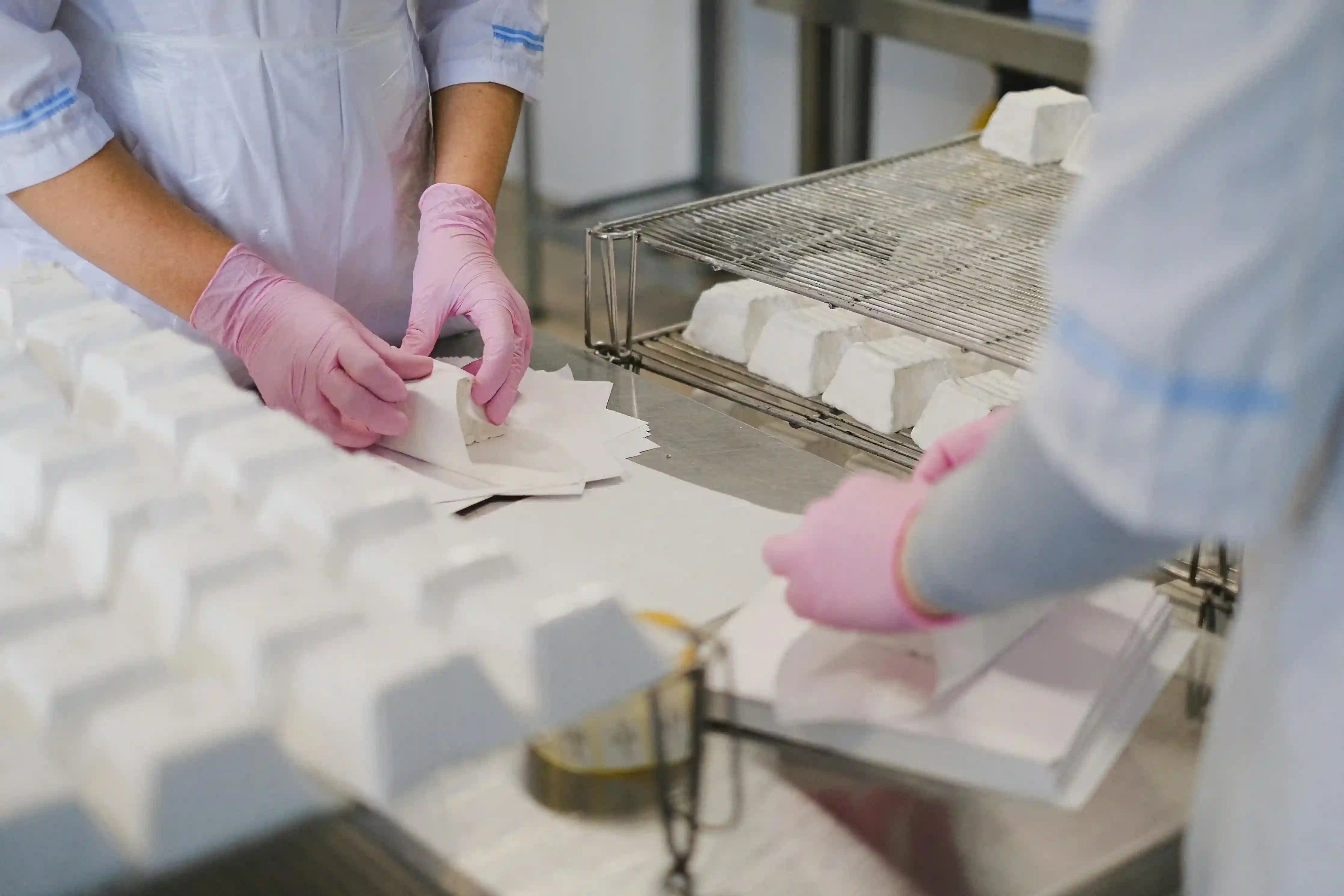 Food Processing